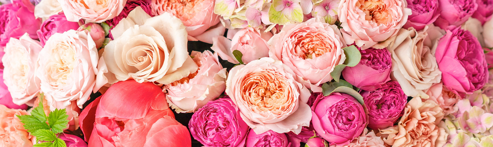 Phoenix Flower Delivery | Same Day Flowers by Phoenix Flower Shops