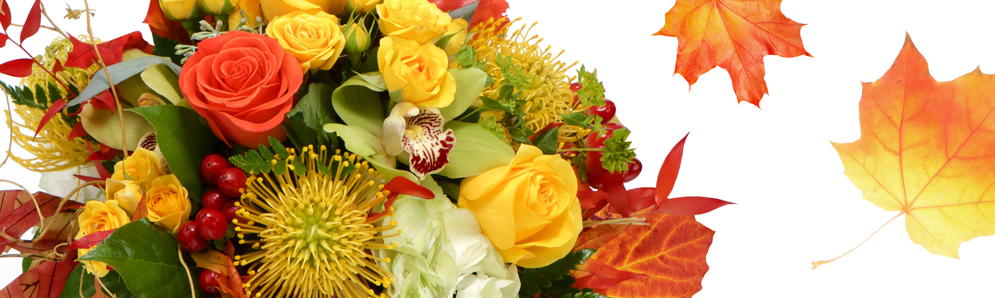 Phoenix Flower Delivery | Same Day Flowers by Phoenix Flower Shops
